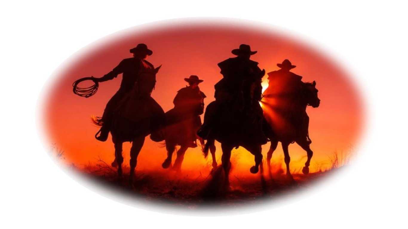 Home | Los Rancheros Mexican Restaurant